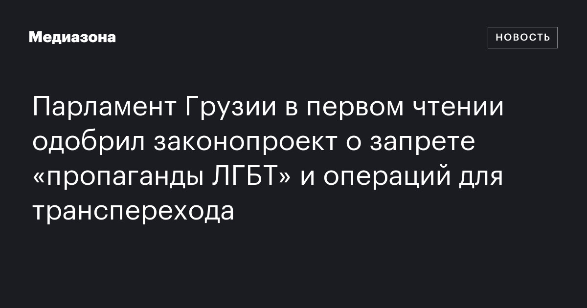 Парламент Грузии в первом чтении одобрил законопроект о запрете